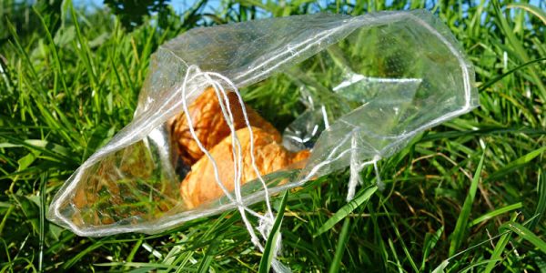 The 7 Benefits Of Biodegradable Bags | Polystar Plastics